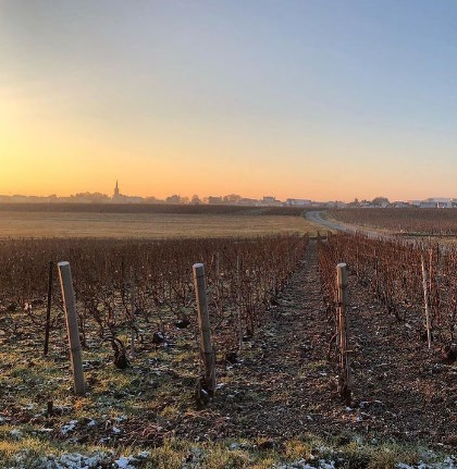 フランス、シャンパーニュの生産者CHAMPAGNE WILLIAM BRUN(シャンパーニュ・ウィリアム・ブリュン) | 輸入ワインの専門商社 ...