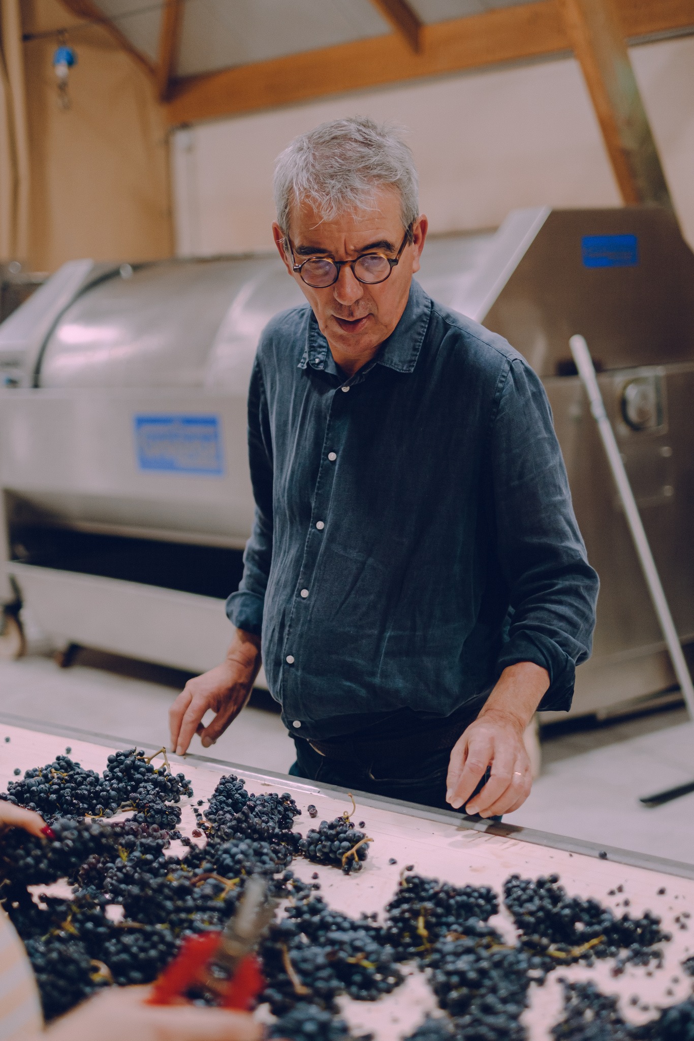フランス、ブルゴーニュの生産者PIERRE BOUREE(ピエール・ブレ) | 輸入ワインの専門商社、株式会社ヴィントナーズ Vintners ...